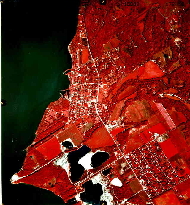 Here’s how you know