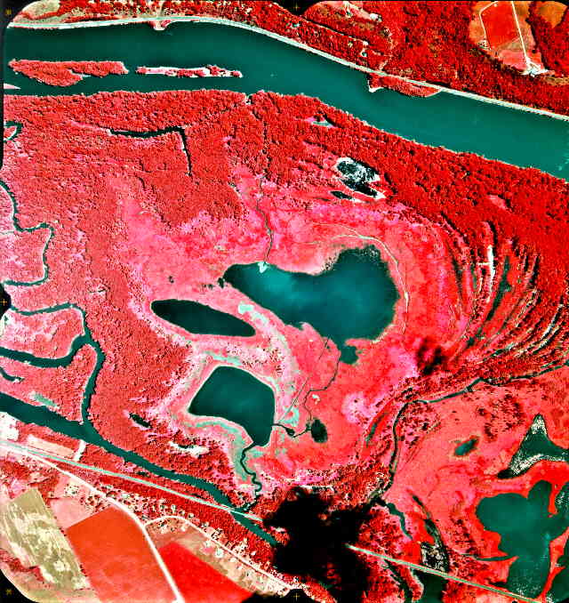 Here’s how you know