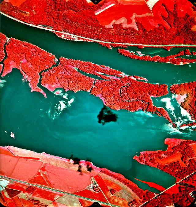 Here’s how you know