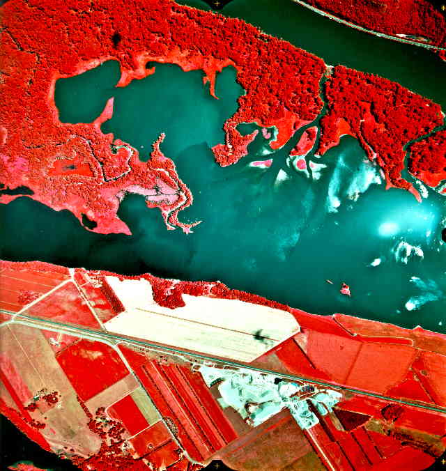 Here’s how you know