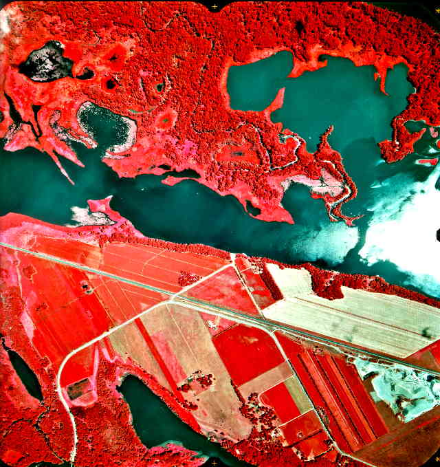 Here’s how you know