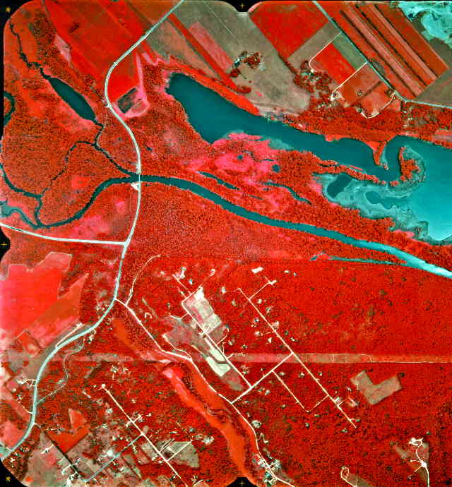 Here’s how you know