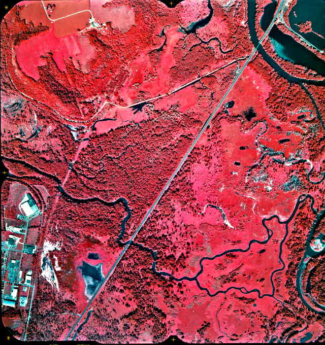 Here’s how you know