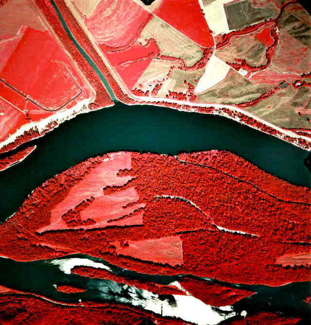 Here’s how you know