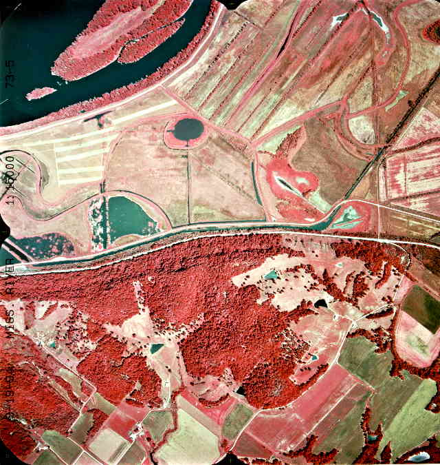 1994 Color Infrared Photos