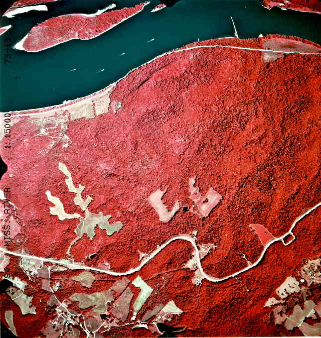 1994 Color Infrared Photos