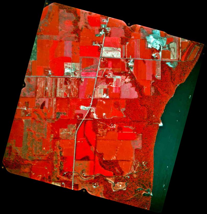 Here’s how you know