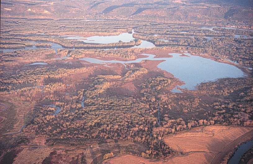 1997 Oblique Photos - New Albin, IA/WI